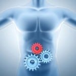 How to Improve Bioavailability of Turmeric?