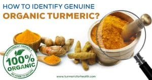 How to Identify Genuine Organic Turmeric?