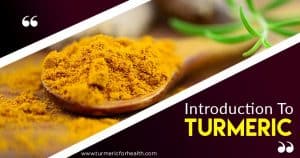 Introduction to Turmeric