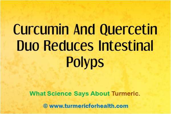 Curcumin And Quercetin Duo Reduces Intestinal Polyps