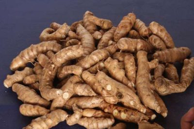 What Is The Difference Between Yellow Turmeric & Wild Turmeric: Curcuma ...